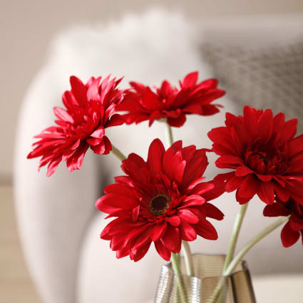 Stelo di gerbera artificiale rosso scuro H59 | Maisons du Monde
