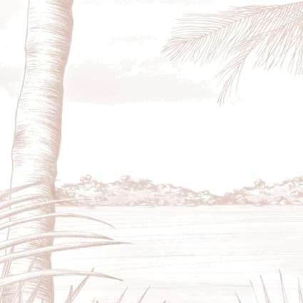 Panorama-Vliestapete tropischer Strand, Beige 300 x 250cm Luluaucrayon ...