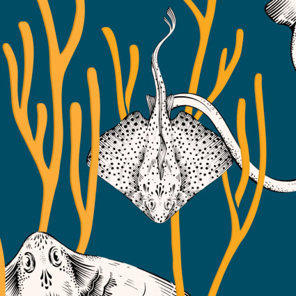 Panorama-Vliestapete mit Rochen und Korallenmustern, Blau 22 Alex ...