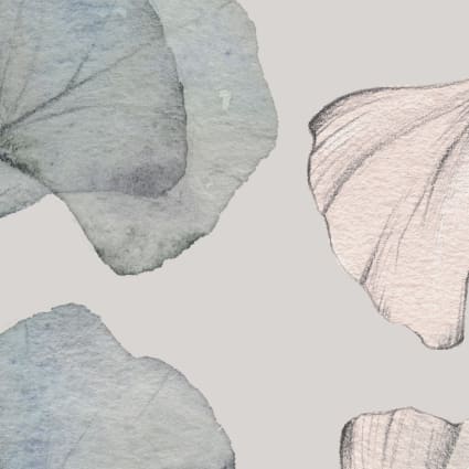 Carta da parati panoramica Fiori di ginkgo, Grigio 525 x 250 Jessica le ...