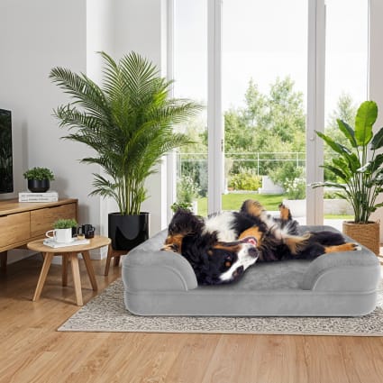 Lettino per cani ortopedico con bordo alto xl (112 x 85 x 18 cm) Kimba ...