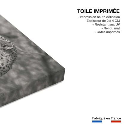 Tableau animaux 3 petits chats toile imprimée 120x80 cm | Maisons du Monde