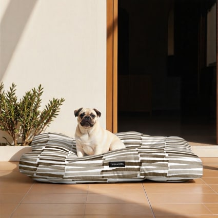 Cama para perros y gatos de algodón antimanchas marrón 90x70x12 cm Xaló ...