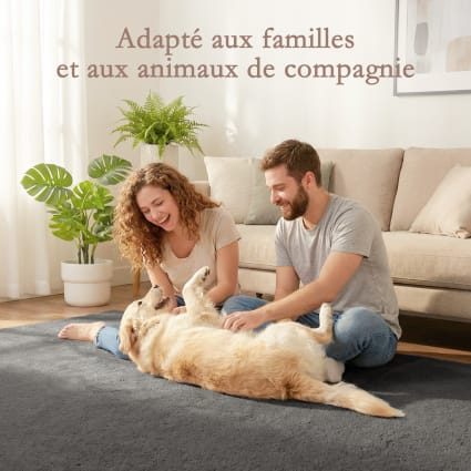 Tapis salon poils longs lavable en machine fausse fourrure gris clair ...