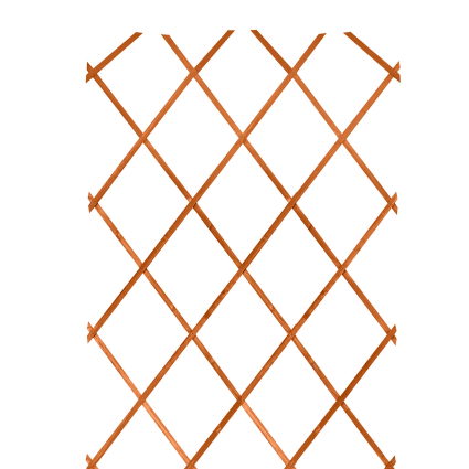 Treillis en bois extensible pour plantes grimpantes 180x60x0.5cm ...