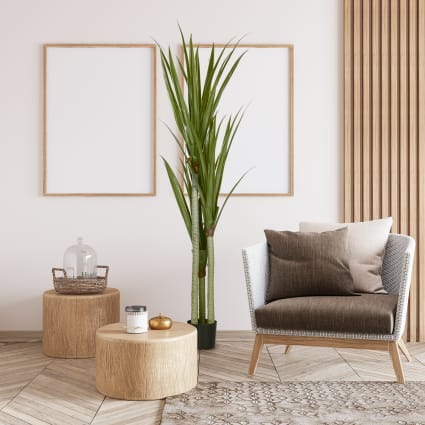 Pianta artificiale di yucca 190 cm in vaso contenitore in peva cemento ...