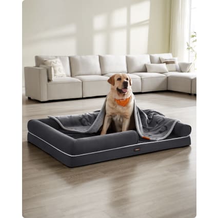 Cama para perros con bordes elevados de color gris oscuro Blomfy ...