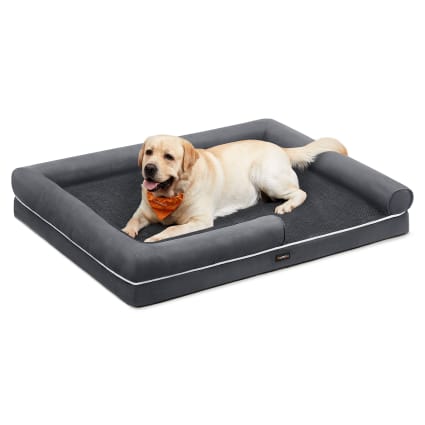 Cama para perros con bordes elevados de color gris oscuro Blomfy ...