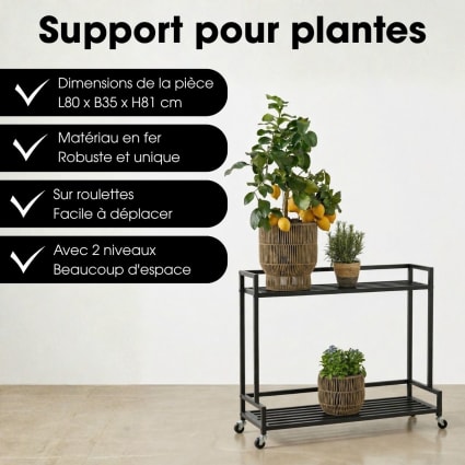 Support pour plantes d'extérieur Noir Fer H81xl35xL80cm Greenrax ...