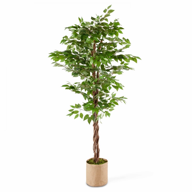 Ficus artificial en maceta altura 180 cm OÏKO | Maisons du Monde