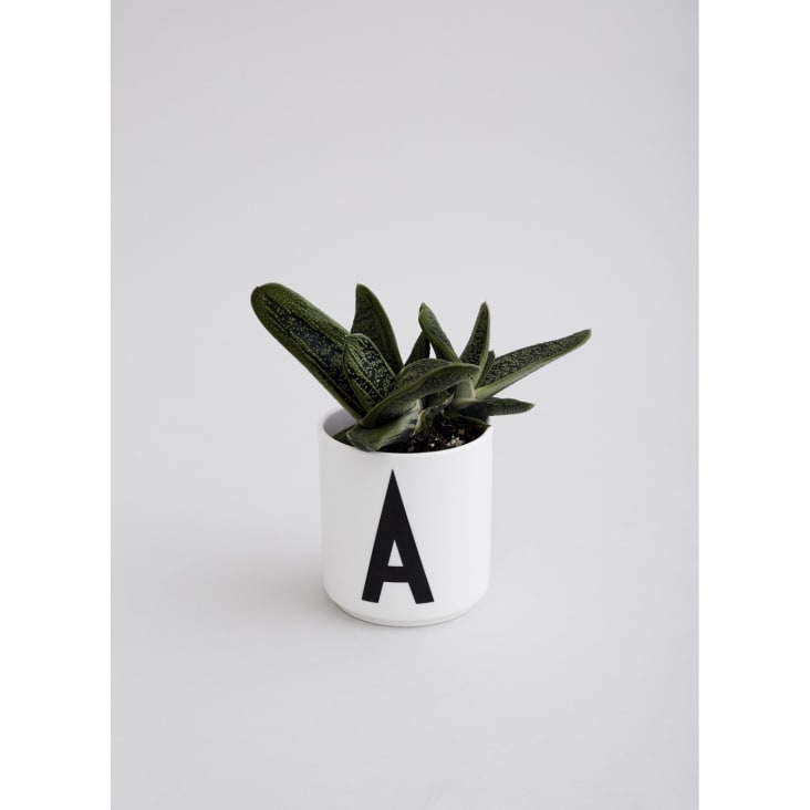 Tasse Blanche Design Letters Porcelaine Blanc Maisons Du Monde