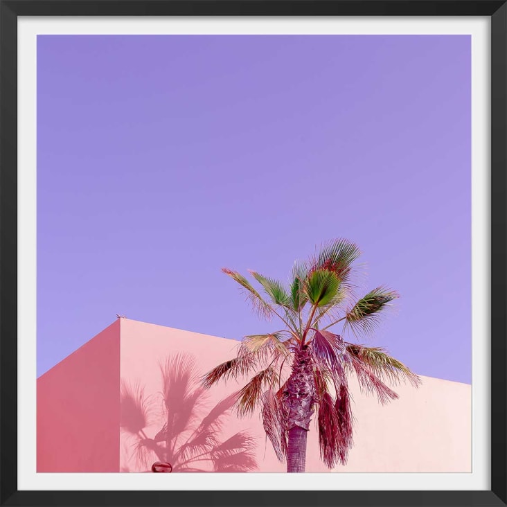 Poster fotografico palma rosa con marco negro 50x50cm | Maisons du Monde