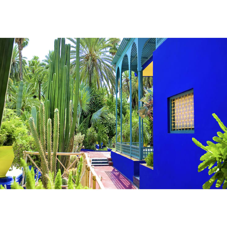 Tableau jardin majorelle impression sur alu 45x30 cm | Maisons du Monde