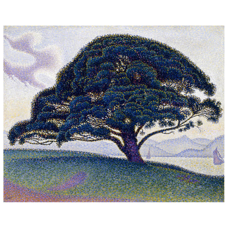 Il Pino Di Bonaventura A Saint Tropez - Paul Signac cm. 80x100 ...