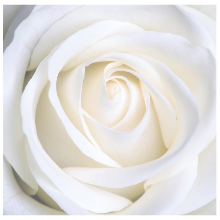 Tableau impression sur toile rose blanche 90x90cm | Maisons du Monde