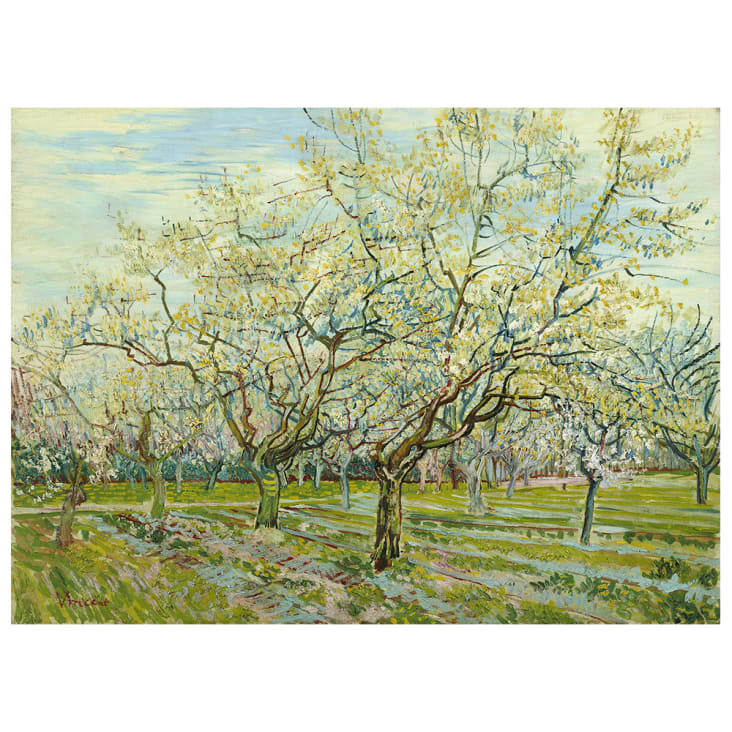 Cuadro lienzo - La Huerta Blanca - Vincent Van Gogh 60x80cm | Maisons ...