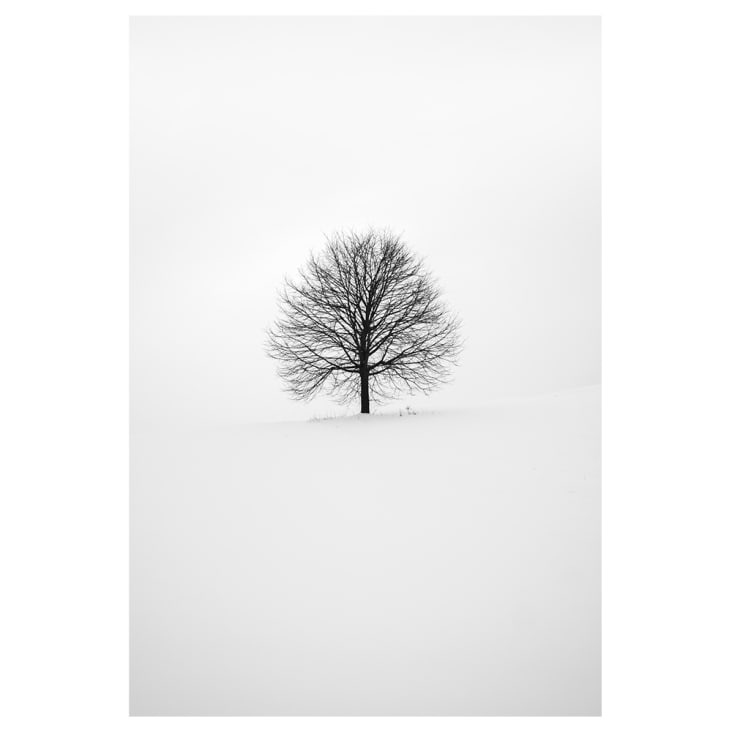 Tableau impression sur toile hiver blanc 60x90cm | Maisons du Monde