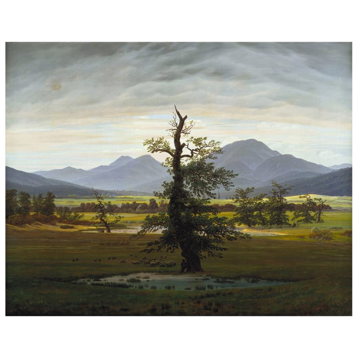 Stampa su tela - Albero Solitario - Caspar David Friedrich cm. 80x100 ...