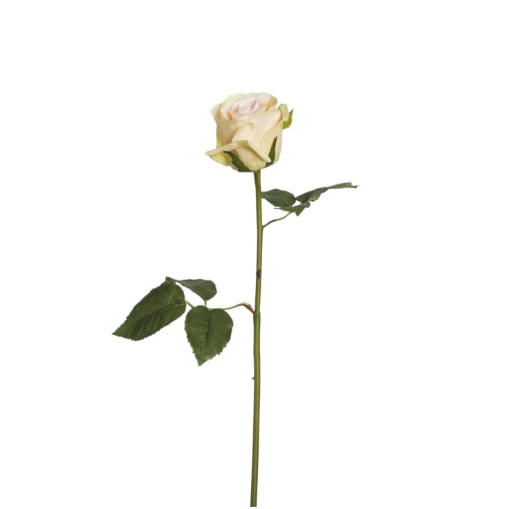 Tallo de rosa artificial crema h53 Diane | Maisons du Monde