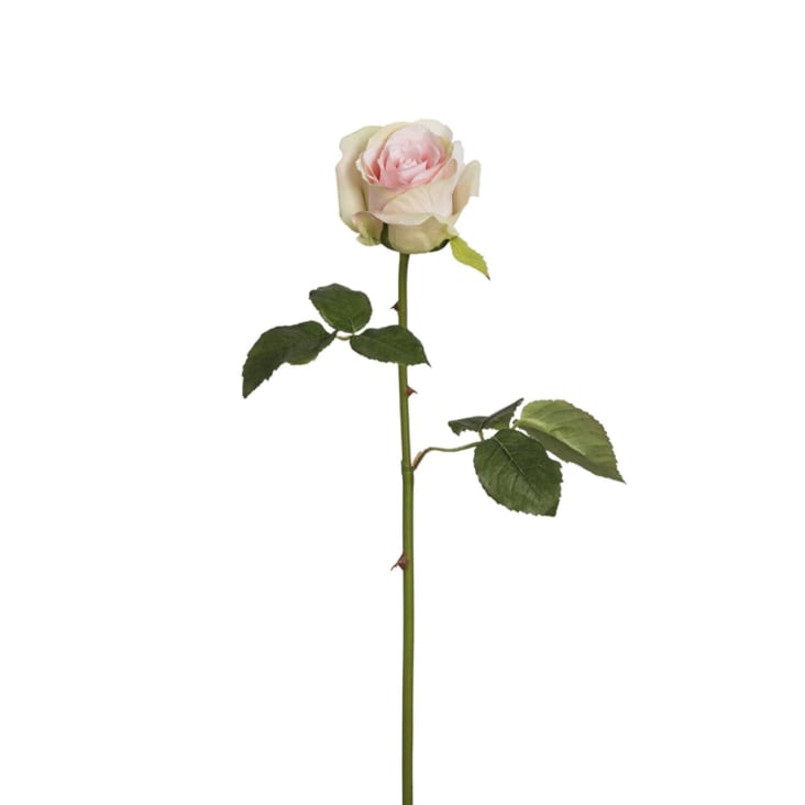 Tallo de rosa artificial crema h53 Diane | Maisons du Monde