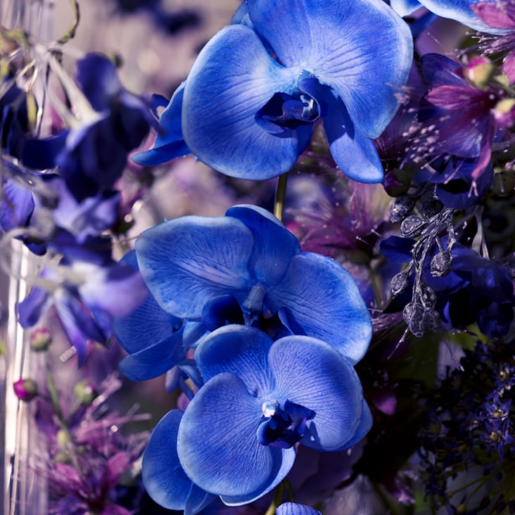 Stelo di orchidea phalaenopsis malva H47 Forever | Maisons du Monde