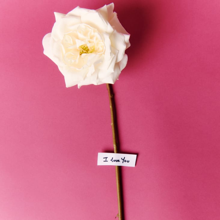 Tallo de rosa artificial blanca h65 Sophia | Maisons du Monde