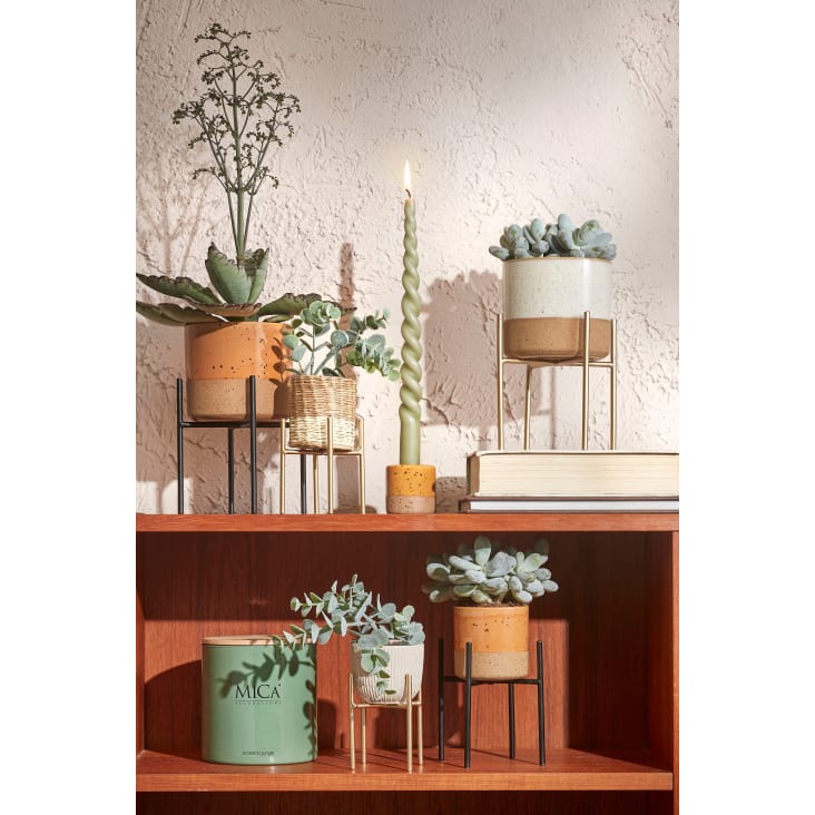 Portapiante in metallo nero alt.25 Ascot | Maisons du Monde