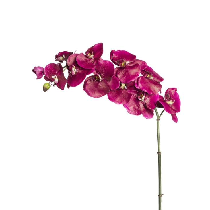 Stelo di orchidea phalaenopsis artificiale, fucsia H104 Budy | Maisons ...