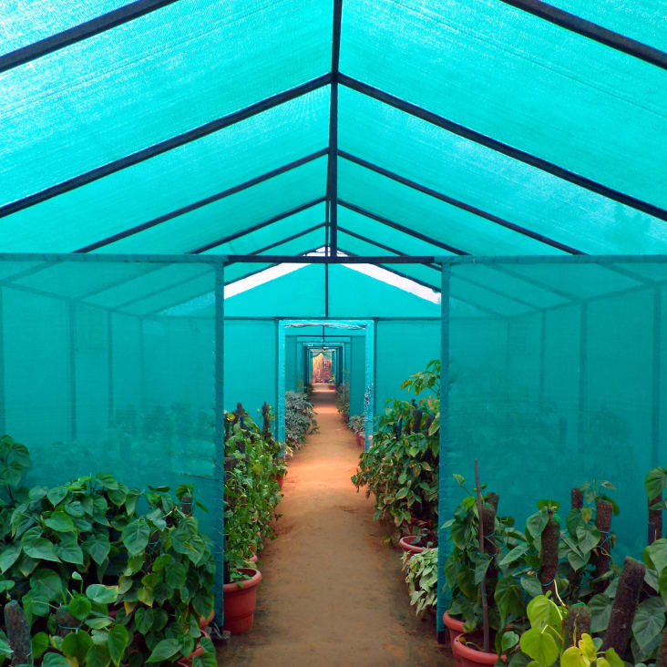 Tela de sombra de polietileno verde para exteriores 2x25 m Sole ...