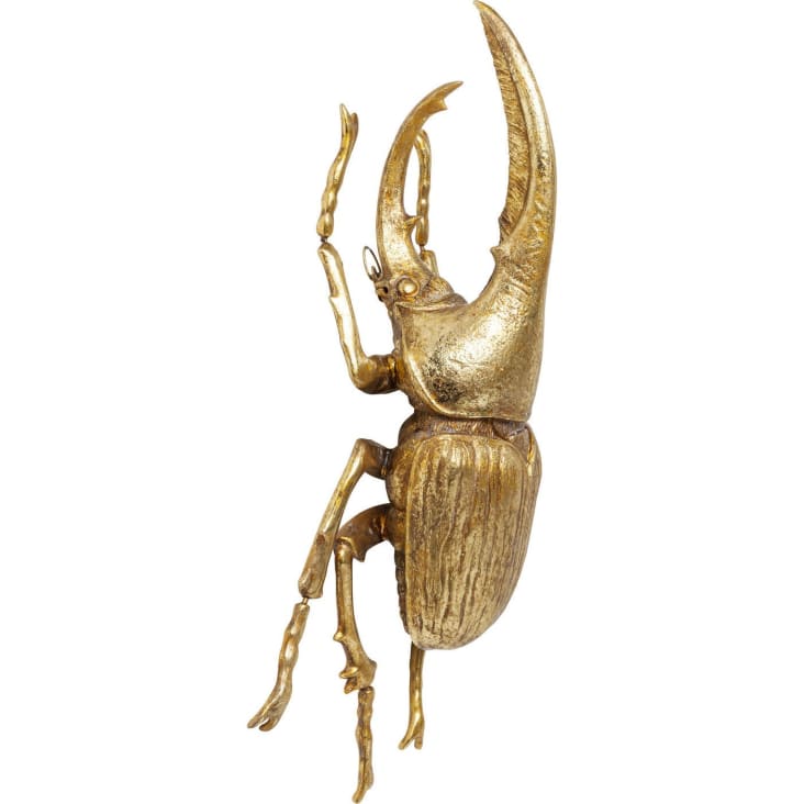 Deco de pared insecto escarabajo en polyresine doree Beetle | Maisons ...