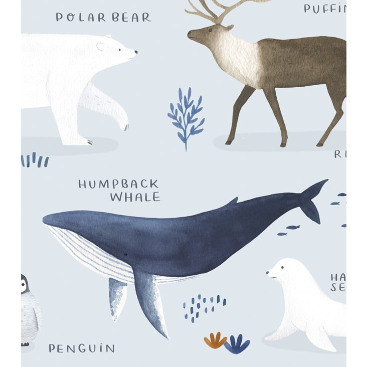 Lámina de papel animales del polo norte y sur de 30x40 cm Living earth ...