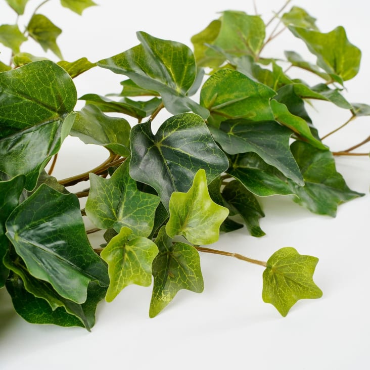 Hedera artificiale sospeso verde alt.71 Ivy | Maisons du Monde