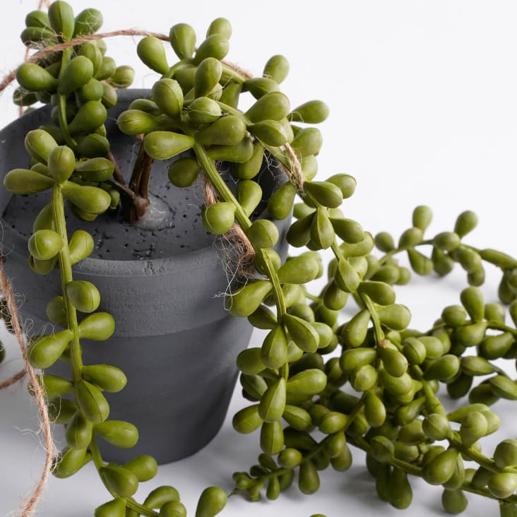 Senecio colgante artificial verde alt. 56 Senecio | Maisons du Monde