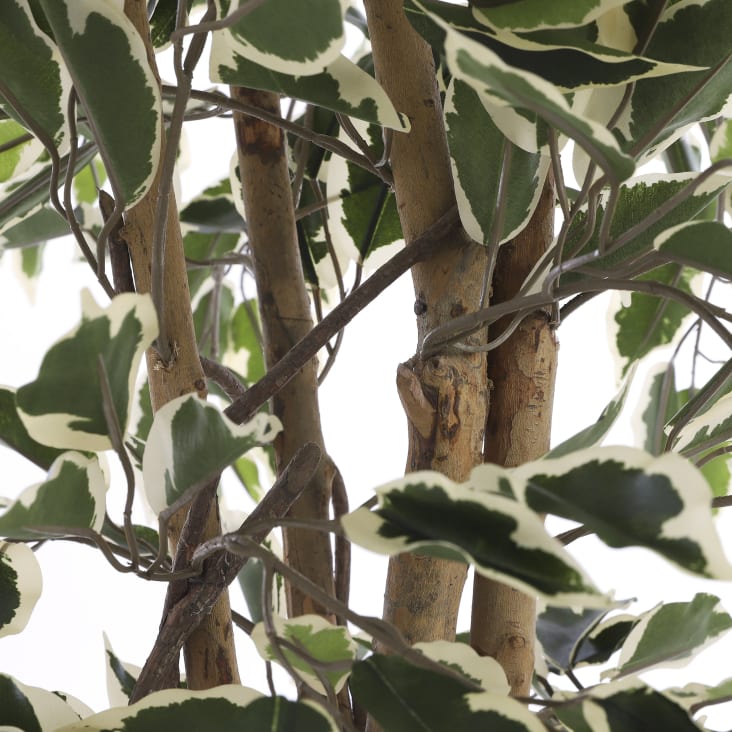 Ficus artificial verde abigarrado en maceta alt. 110 Ficus | Maisons du ...