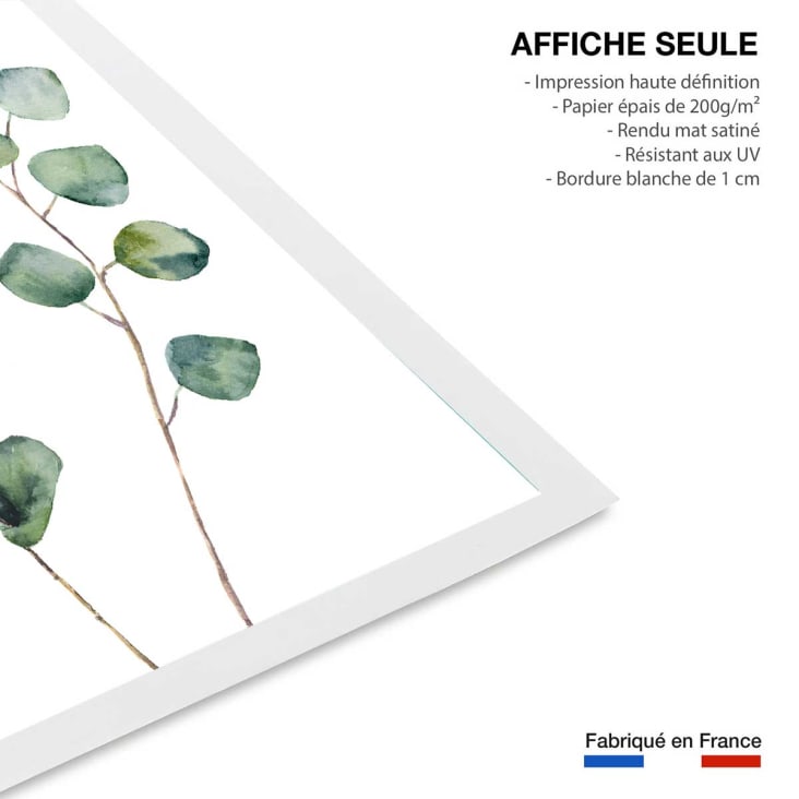 Poster della natura foglia di eucalipto sin marco 30x45cm | Maisons du ...