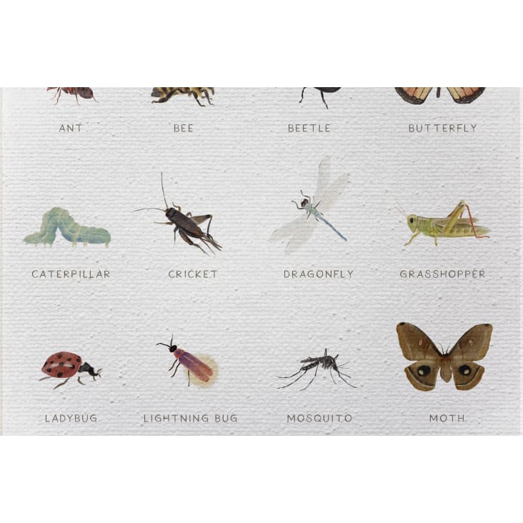 Peinture sur toile 60x40 Imprimé Insectes BUGS | Maisons du Monde
