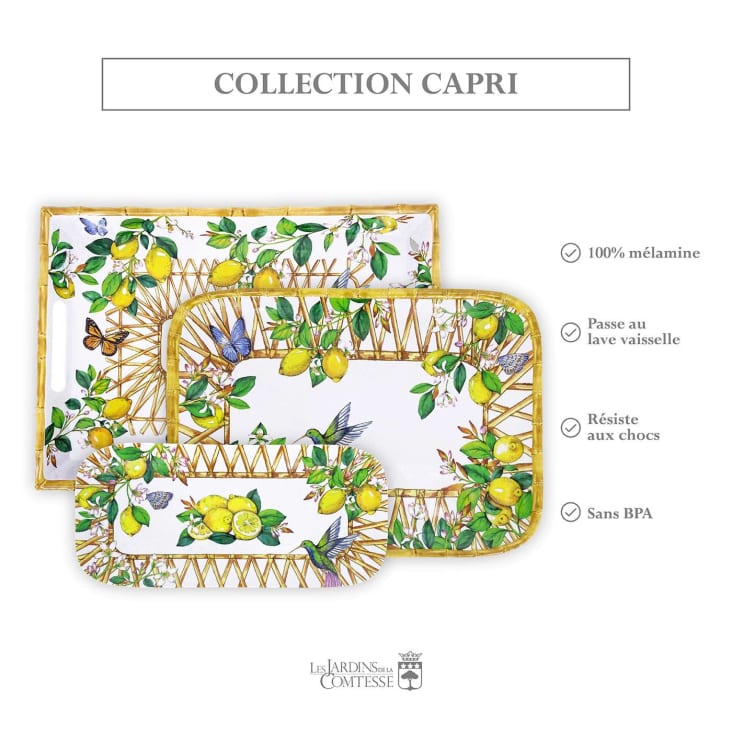 Piatto lungo 37,5 cm in melamina con stampa di limone Capri | Maisons ...