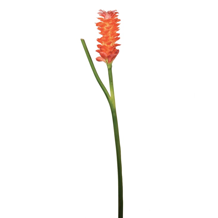 Tige de gingembre en fleur artificielle orange H99 | Maisons du Monde