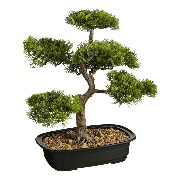 Bonsai Kunstpflanze im Topf H43 BONSAI | Maisons du Monde