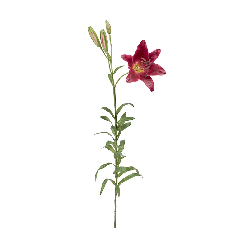 Stelo di giglio rosso rubrum H98 Elsa | Maisons du Monde