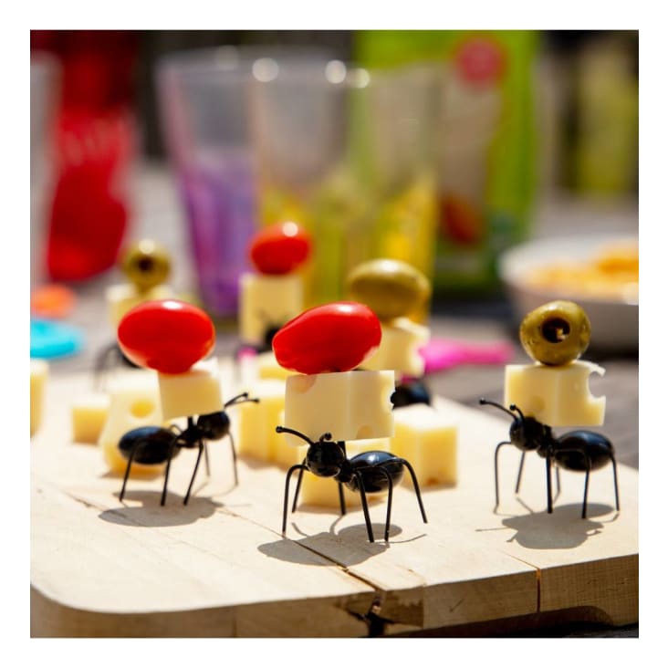 Set de 20 pics apéritif fourmis Ant pick party | Maisons du Monde