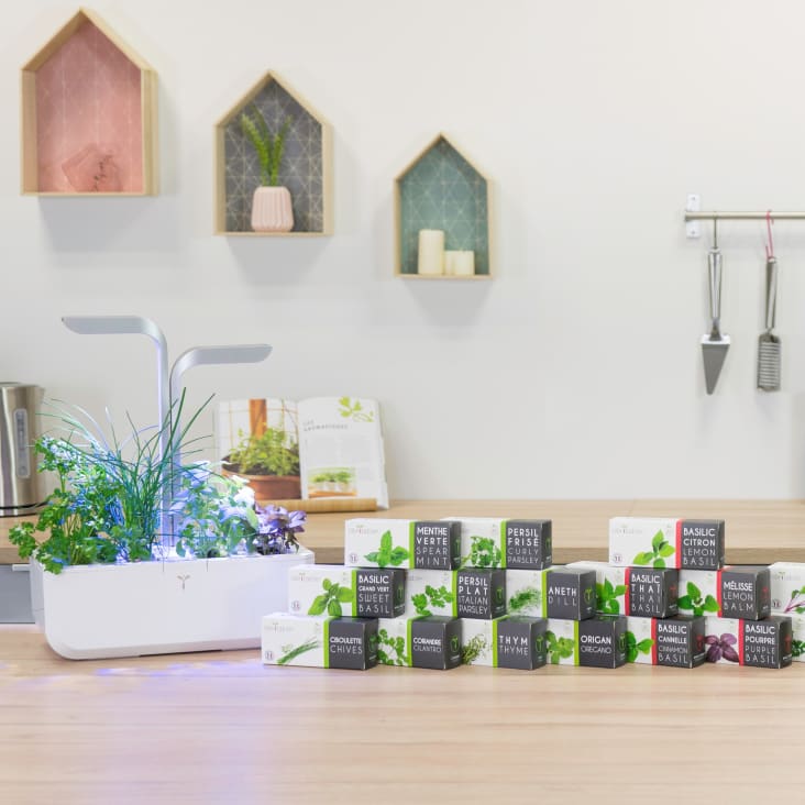 Lingot Mini poivron chocolat BIO - Recharge prête à l'emploi | Maisons ...