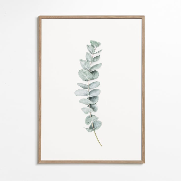 Poster Eucalyptus II 70x100cm KATHRIN PIENAAR | Maisons du Monde
