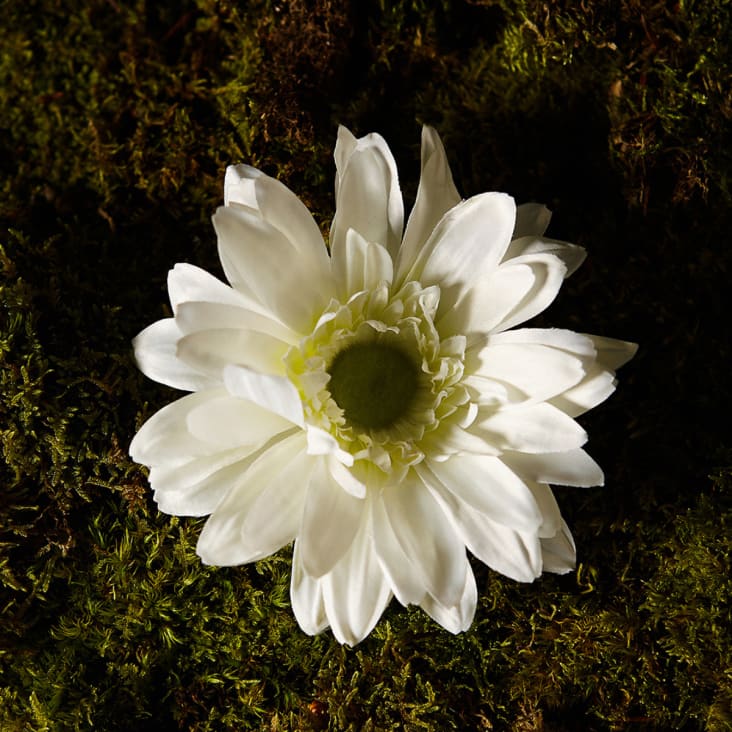 Tallo de gerbera artificial blanca h59 | Maisons du Monde