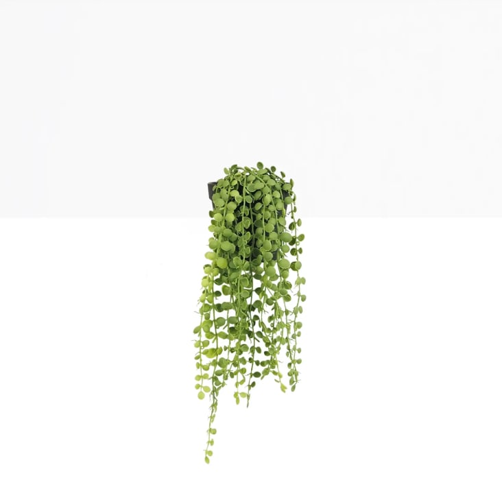 Plante succulente retombante artificielle 40cm | Maisons du Monde