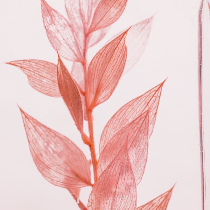 Plante immergée Ruscus 706C rose H23 Herbarium de theophile | Maisons ...