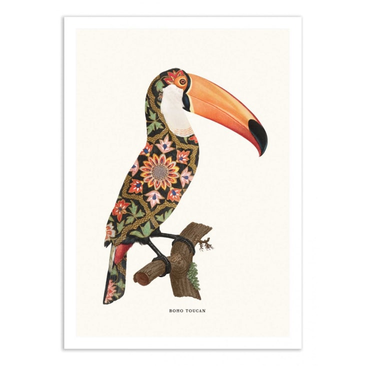 BOHO TOUCAN - Affiche d'art 50 x 70 cm Jonas loose | Maisons du Monde