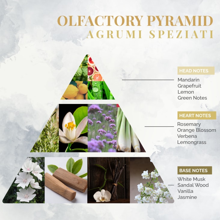 Fragranza d'Ambiente Agrumi Speziati - 100ml ecospray Collezione ...