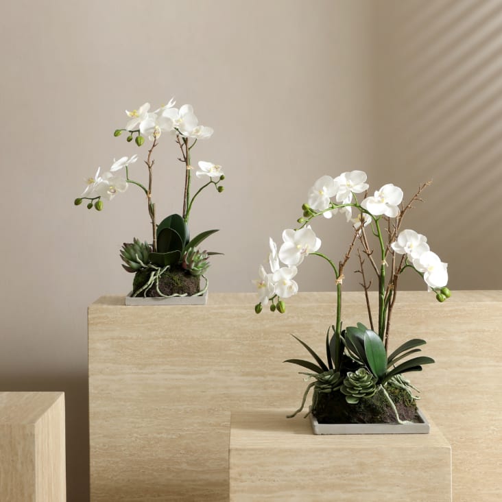Composición de orquídea y sucullente artificial blanco h43 | Maisons du Monde