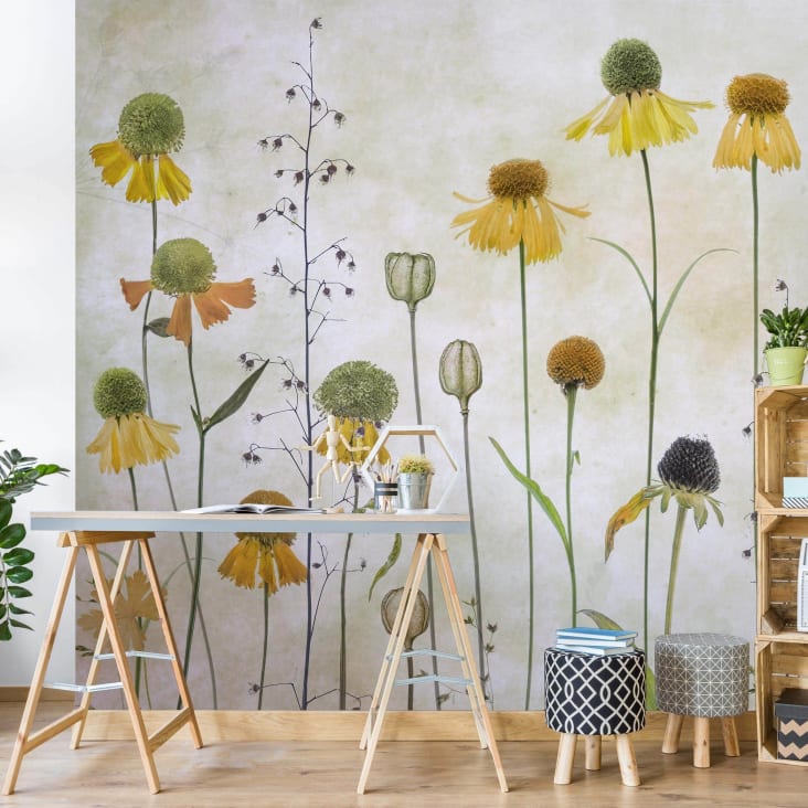 Fototapete aus Vlies - Zarte Helenium Blüten, beige 192 x 192 cm ...